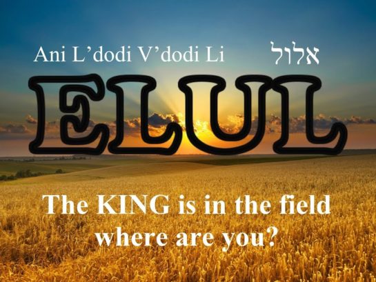 Elul The King Is In The Field – YHWH's Learning Channel